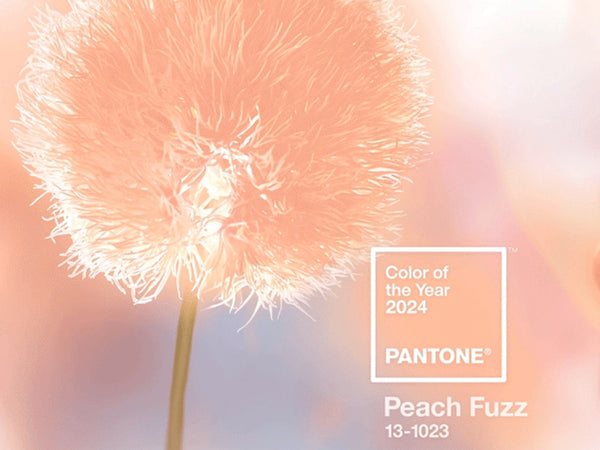Pantone Trendfarbe des Jahres 2024 – SHILA